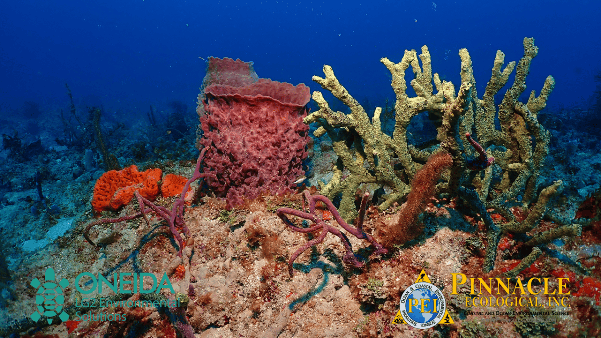 LG2 Successfully Contributes to Complex Project - Oneida ESC Group