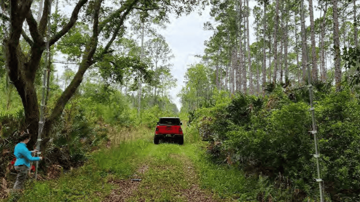 Supporting Healthy Bat Population with Bat Conservation and Management ...